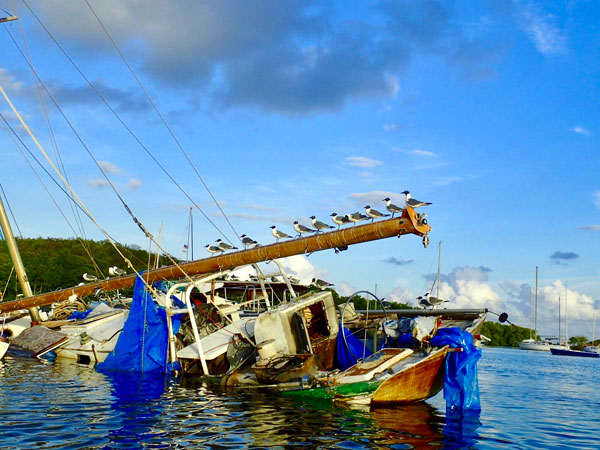 Insider Review : St Thomas Sunset Kayak With Bird Watching