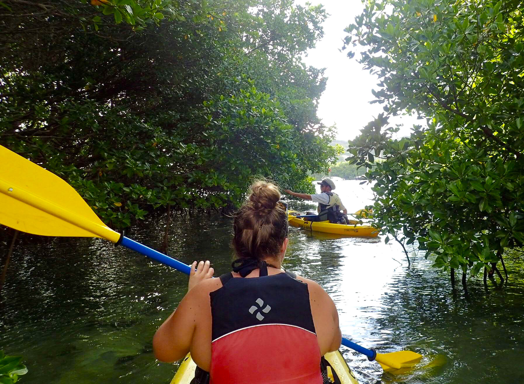 Insider Review : St Thomas Sunset Kayak With Bird Watching