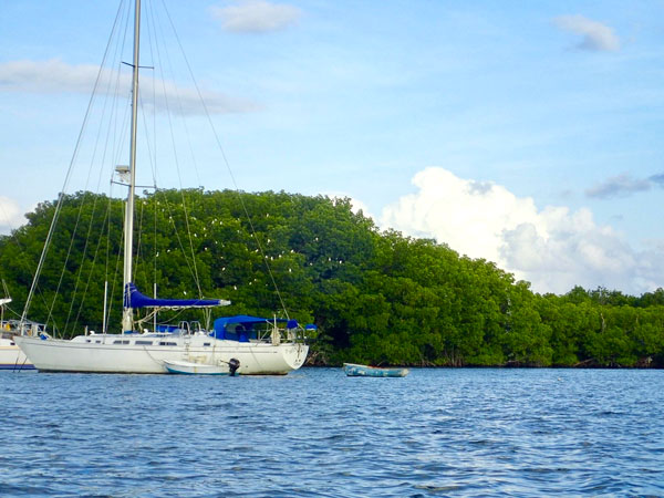 Insider Review : St Thomas Sunset Kayak With Bird Watching