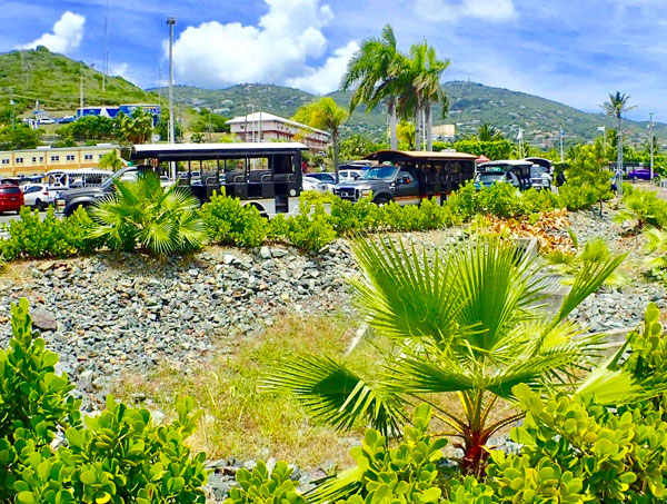 Crown Bay : Exploring The Cruise Port